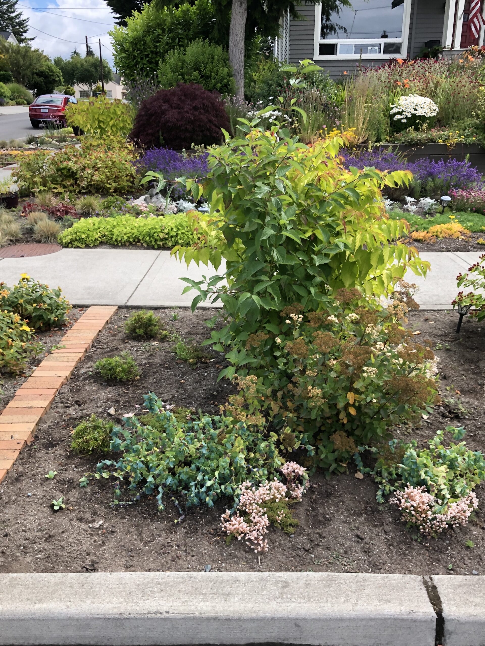 DIANE LOOP - GARDENER