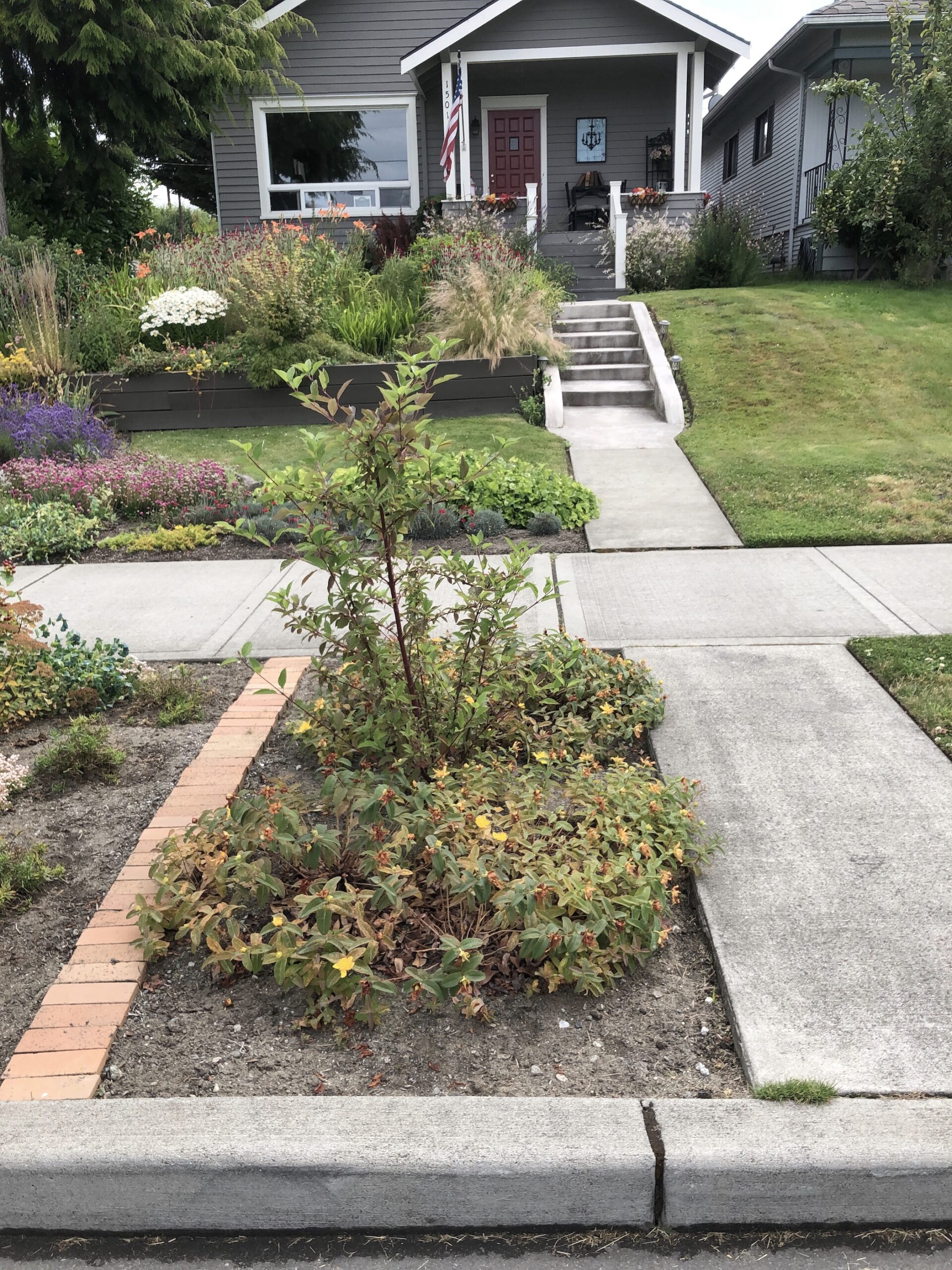 DIANE LOOP - GARDENER