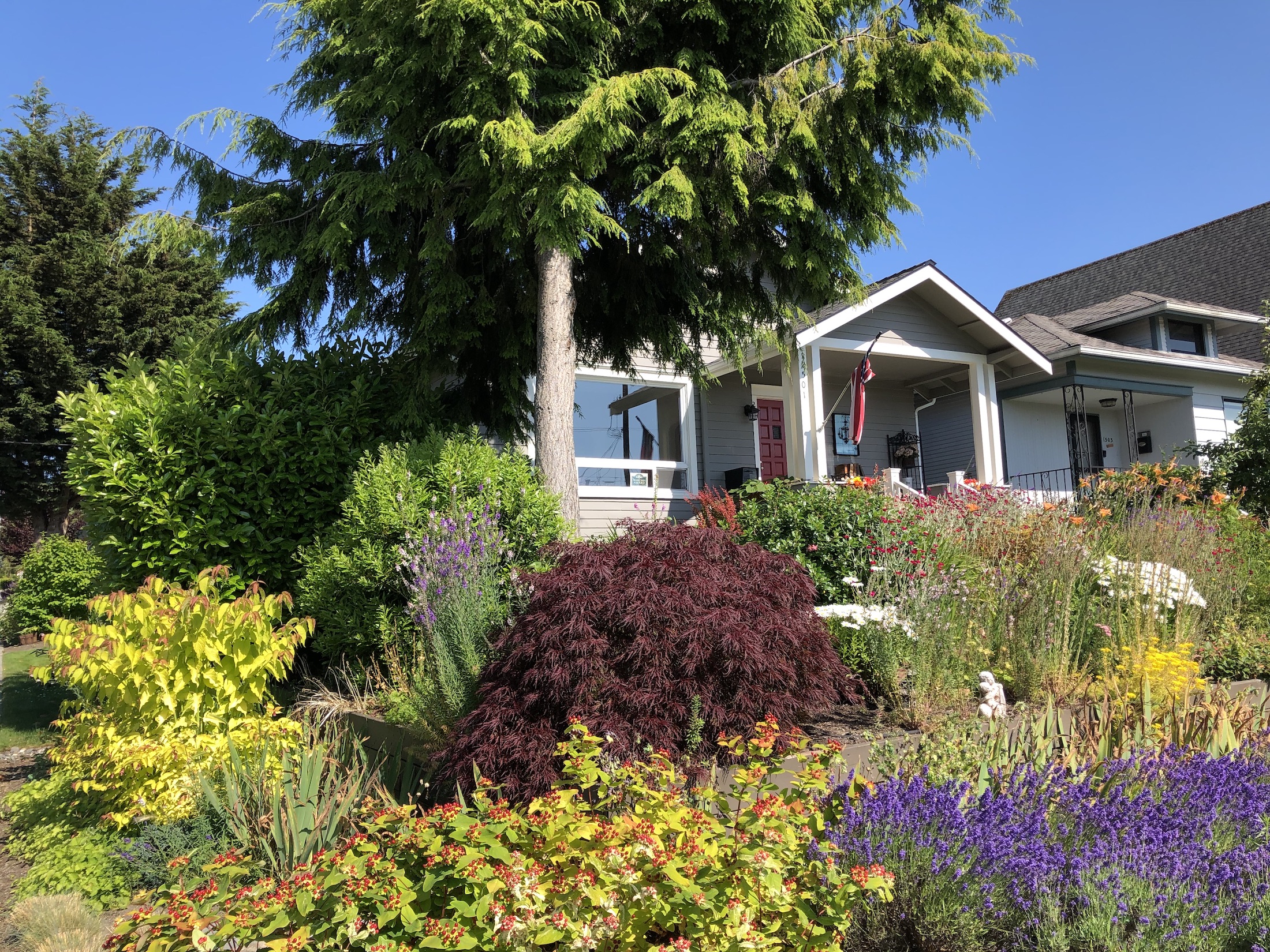 DIANE LOOP - GARDENER