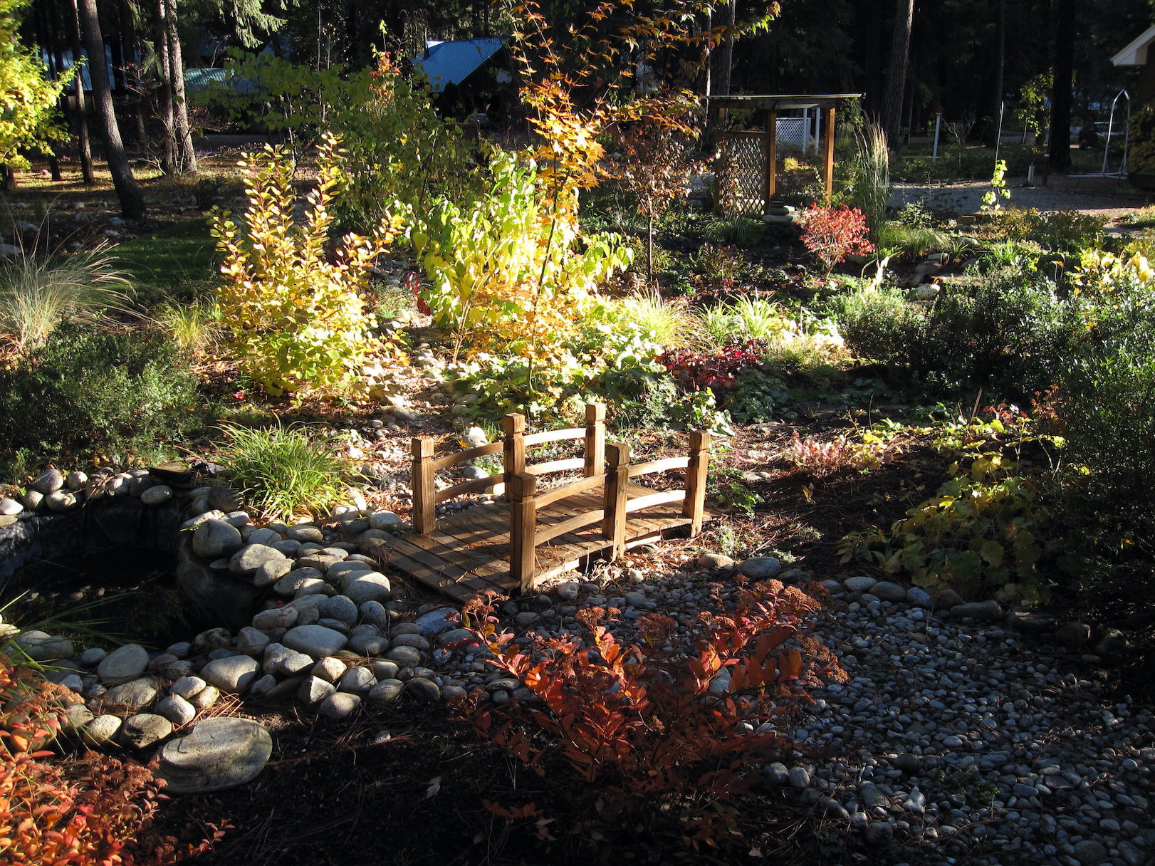 OLSON GARDENS V - AUTUMN COLOR IN A COUNTRY GARDEN FEATURING FLOWERS ...