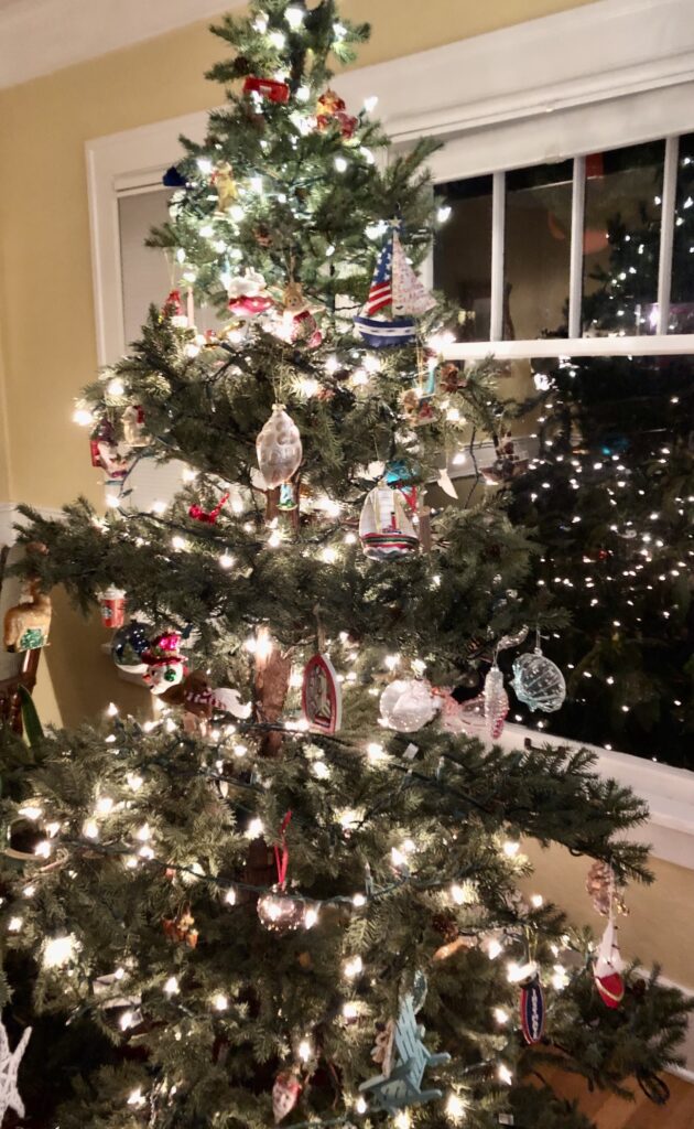 OUR EVERETT FAMILY CHRISTMAS - By Lorelie Olson - Photos by Lorelie ...