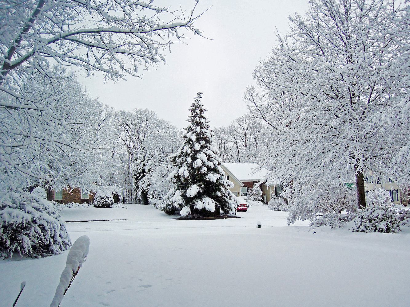 KEITH OLSON- PHOTOGRAPHER - WINTER SCENES - CLOSE UP