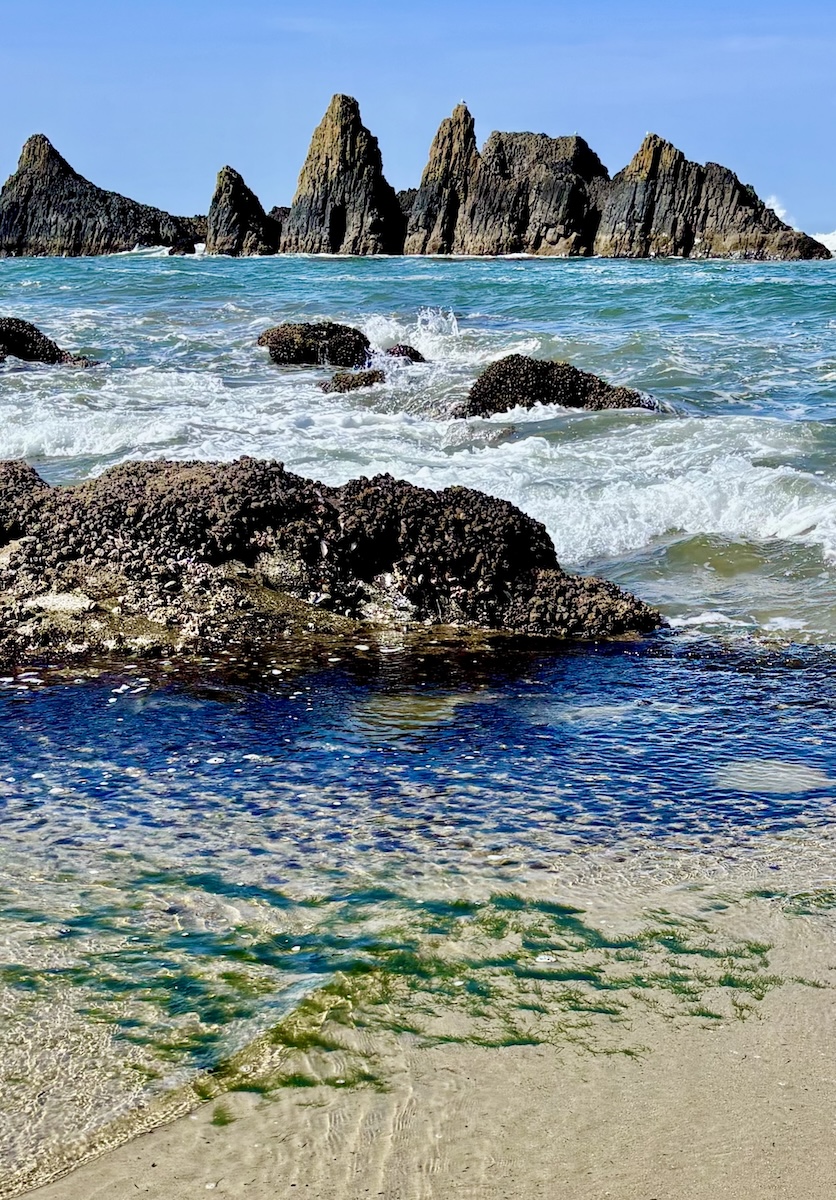 OREGON COAST IMAGES: DRAMATIC BEACH TEXTURES AND SHAPES